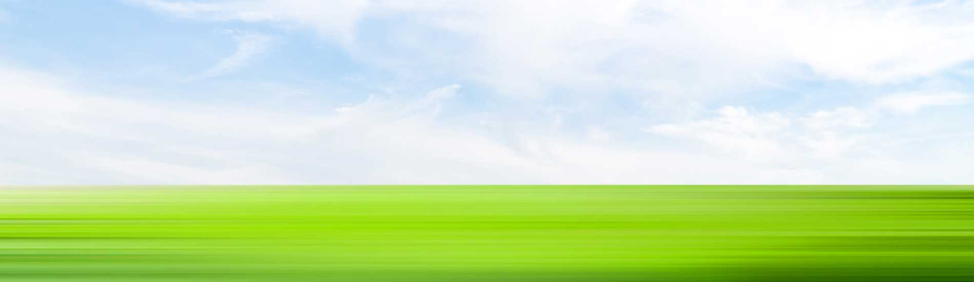 For Translators - AI Translation Software